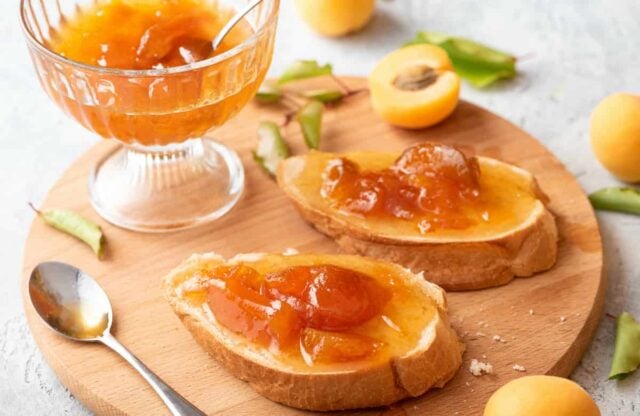 The Goldcot Apricot Tree - Minneopa Orchards