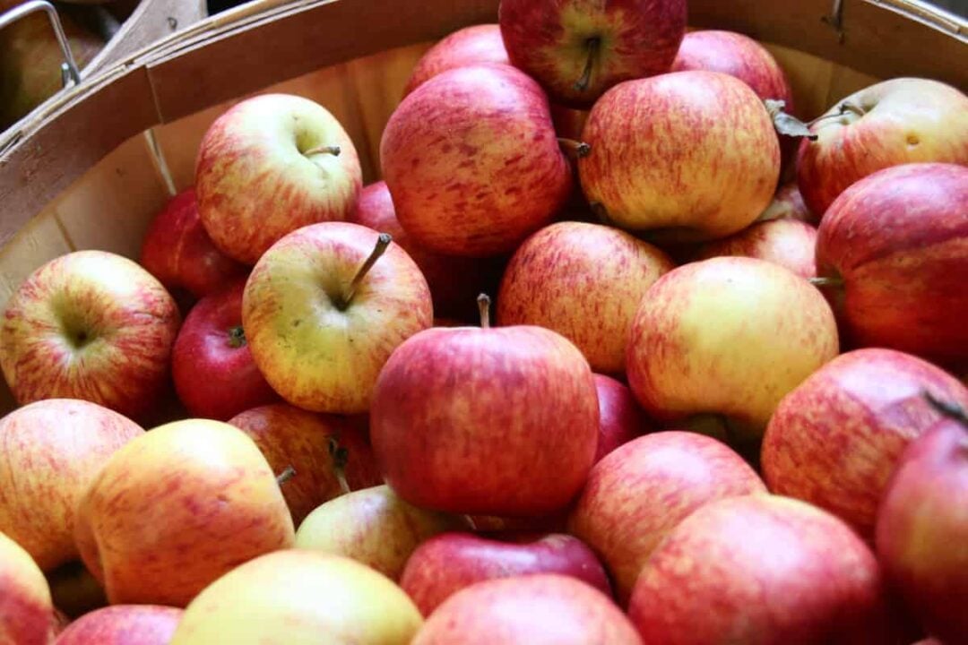 The 5 Best Apple Orchards in Nevada - Minneopa Orchards