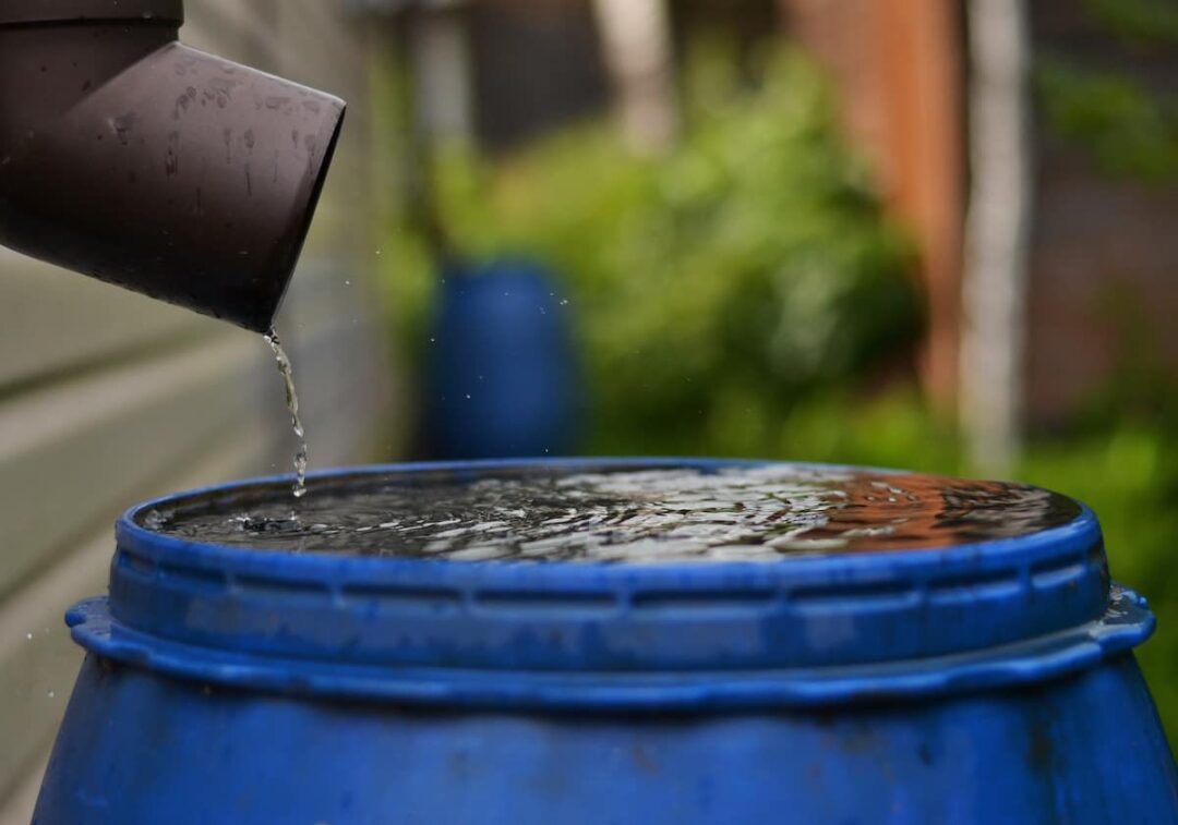 The 8 Best Rain Barrels - Minneopa Orchards