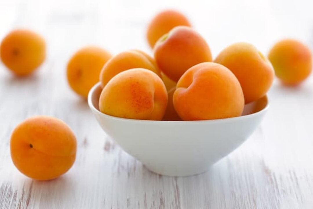 The Tropic Gold Apricot Tree - Minneopa Orchards