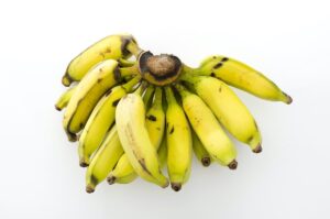 The Apple Banana Tree - Minneopa Orchards