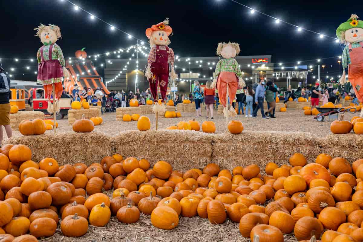 The 10 Best Pumpkin Patches in Nevada - Minneopa Orchards