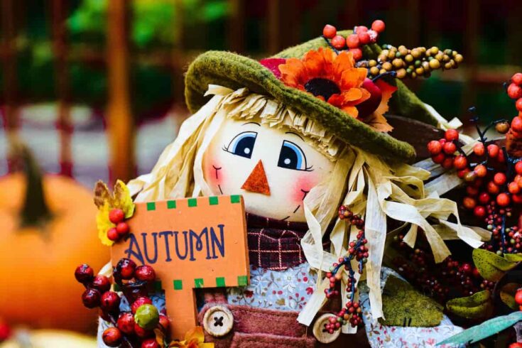 The 10 Best Pumpkin Patches in Nevada - Minneopa Orchards