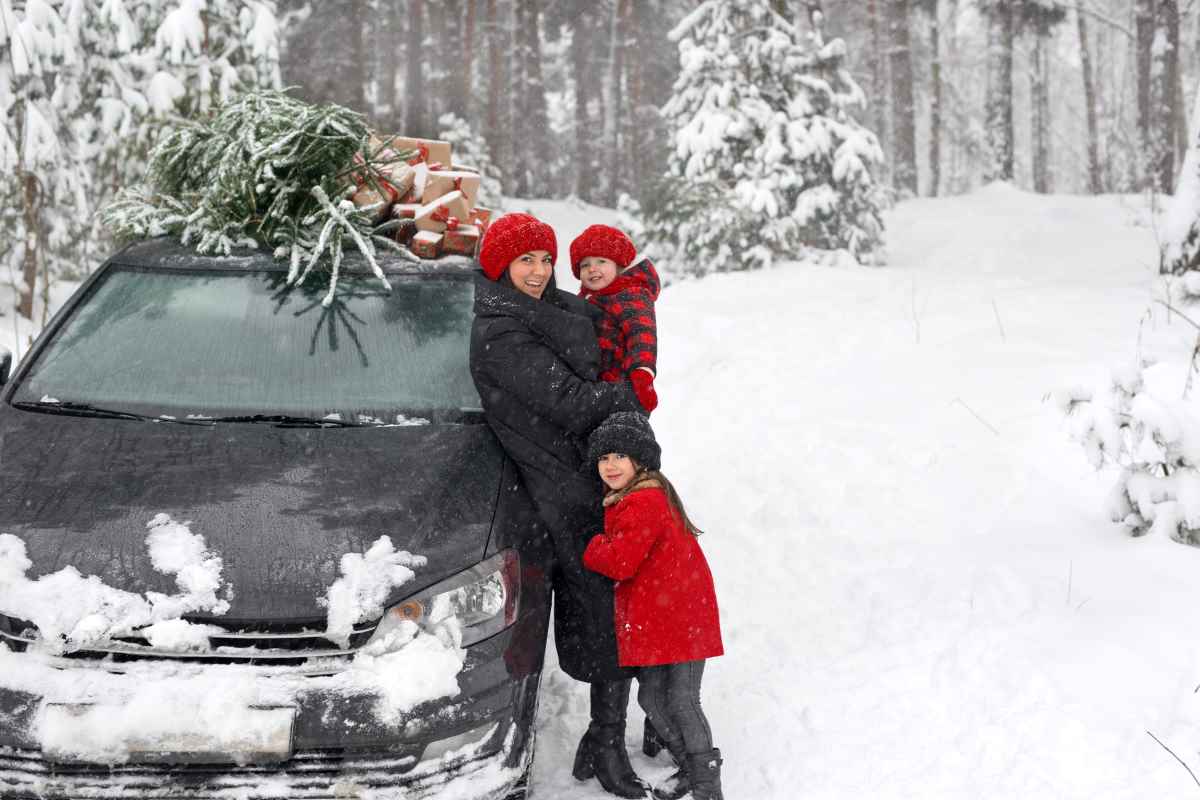 17 Best Christmas Tree Farms in Nebraska - Minneopa Orchards