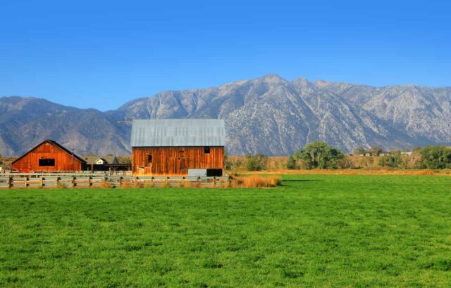 The 5 Best Apple Orchards in Nevada - Minneopa Orchards