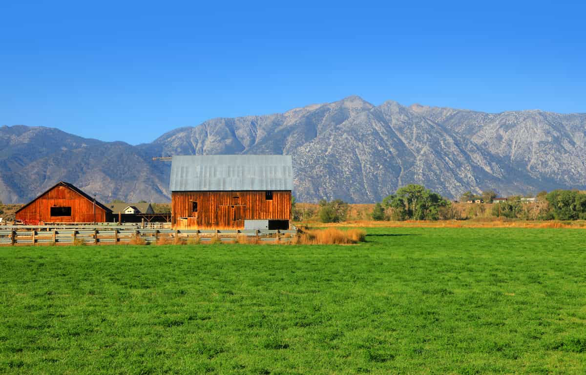The 5 Best Apple Orchards in Nevada - Minneopa Orchards