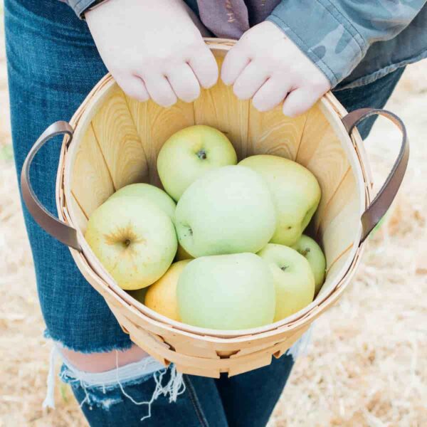 The 13 Best Apple Orchards In Kentucky - Minneopa Orchards