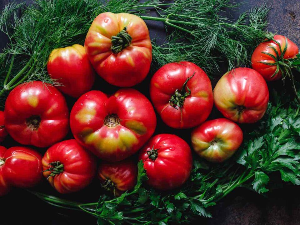The Best Tasting Tomatoes: 7 Delicious Varieties to Grow in Your Garden ...