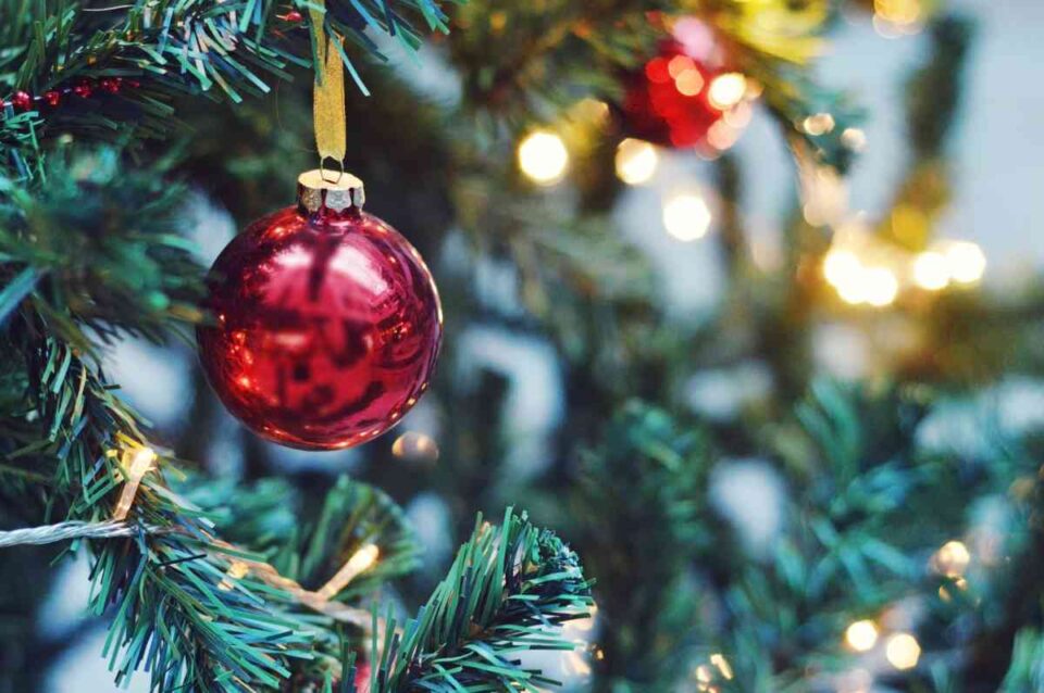 The 17 Best Christmas Tree Farms in Louisiana - Minneopa Orchards