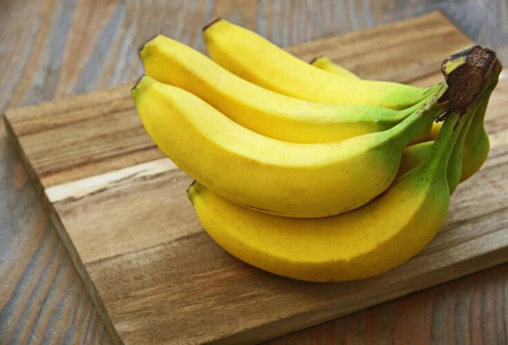 The Cavendish Banana Tree - Minneopa Orchards