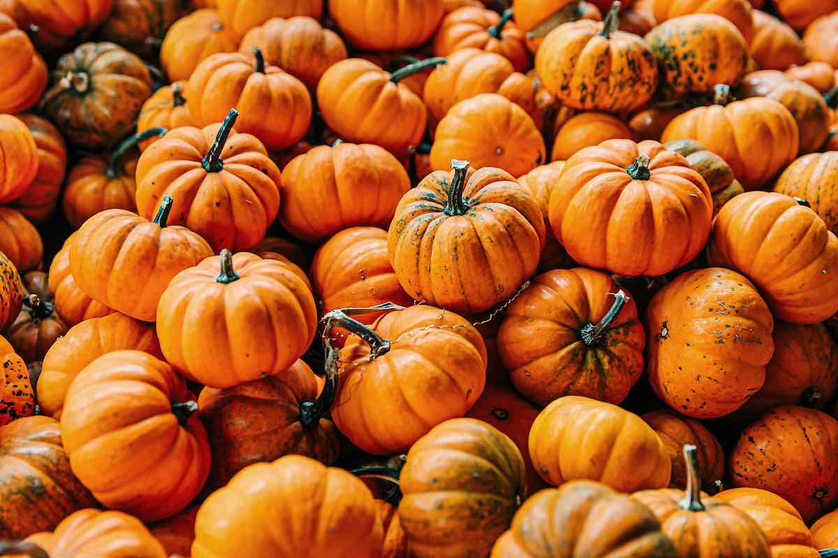 9 of the Best Pumpkin Patches in Nebraska - Minneopa Orchards