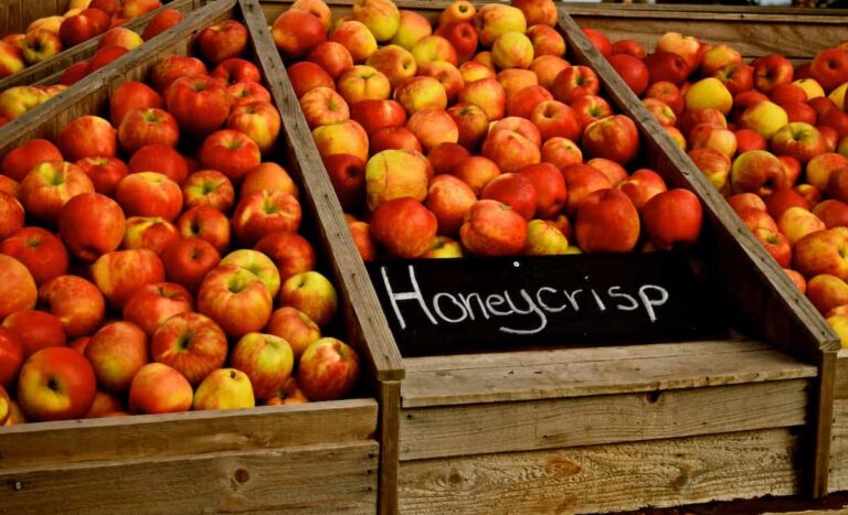 9 of the Best Apple Orchards in Washington - Minneopa Orchards