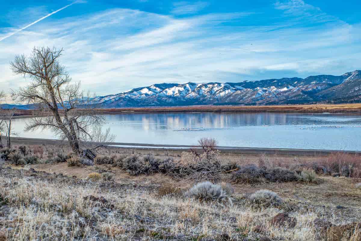 The 5 Best Apple Orchards in Nevada - Minneopa Orchards