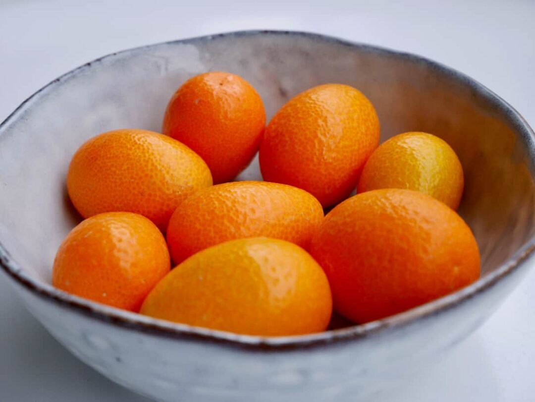 The Meiwa Kumquat - Minneopa Orchards