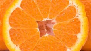 All About the Shiranui Mandarin - Minneopa Orchards