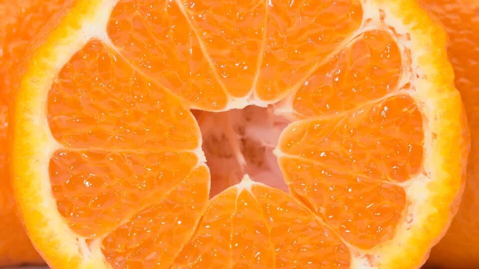 All About the Shiranui Mandarin - Minneopa Orchards