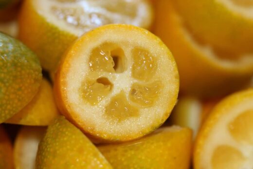 All About the Fukushu Kumquat - Minneopa Orchards
