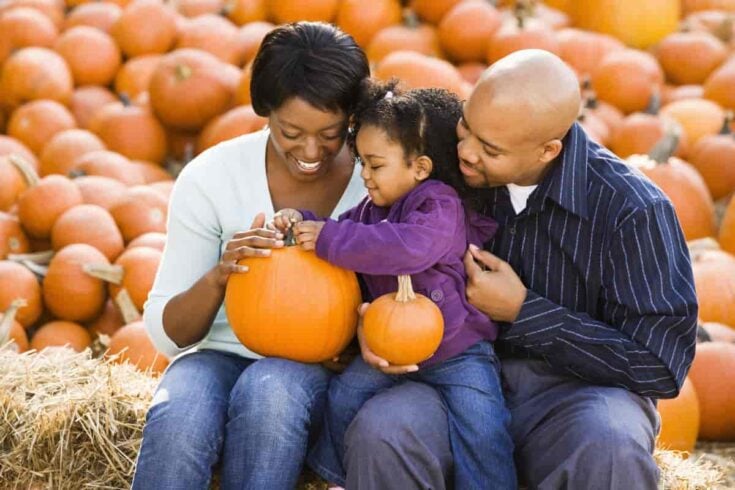The 11 Best Pumpkin Patches in Indiana - Minneopa Orchards