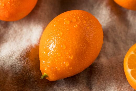 All About the Fukushu Kumquat - Minneopa Orchards