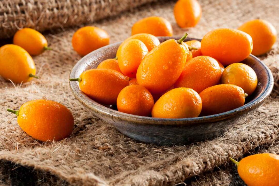 Everything You Need to Know About the Delicious Centennial Kumquat ...