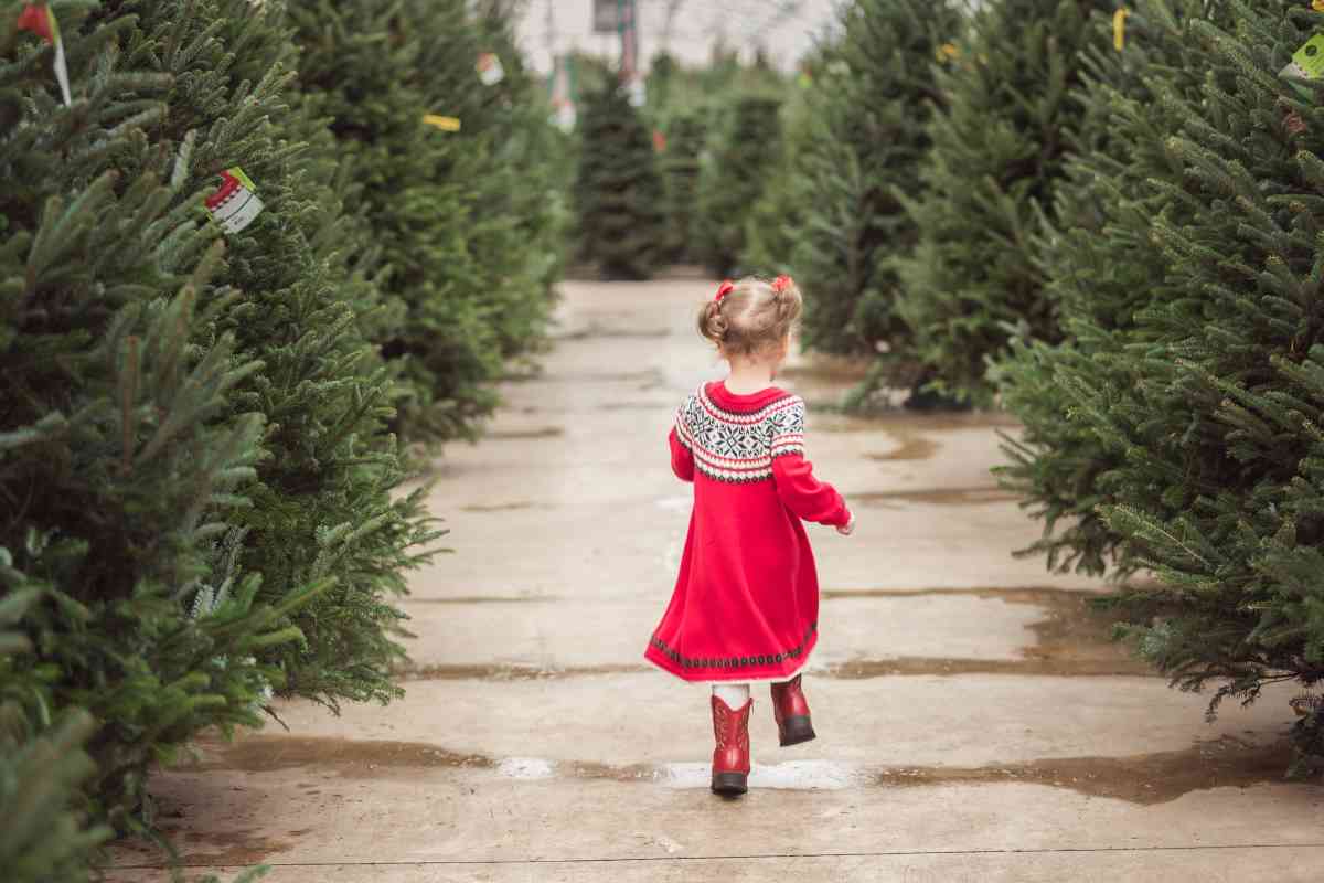 The 12 Best Christmas Tree Farms in Mississippi - Minneopa Orchards