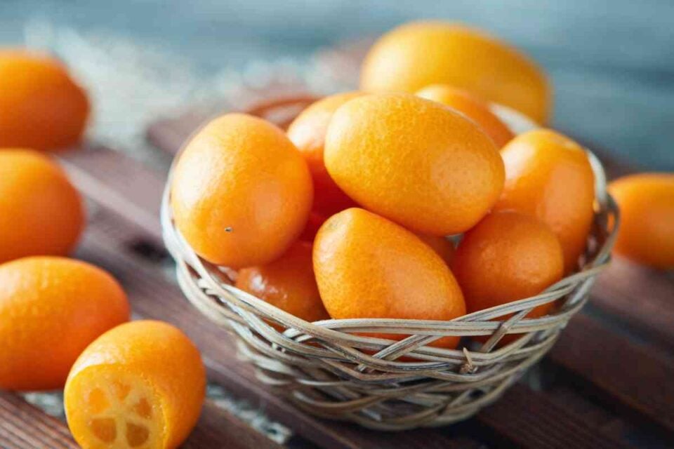 The Delicious Oval Kumquat: Everything You Need to Know About Growing ...