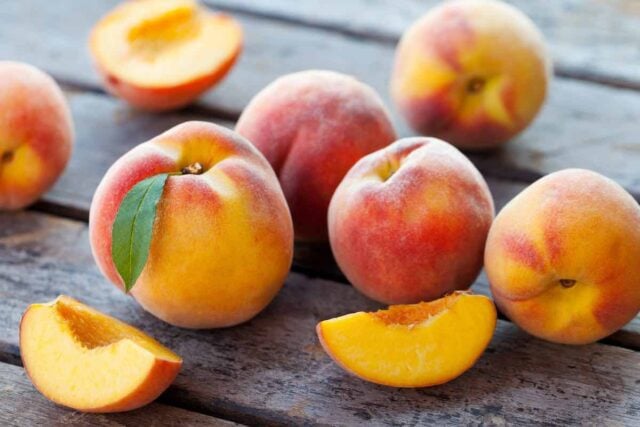 6 Great Tips to Learn How to Harvest Peaches - Minneopa Orchards