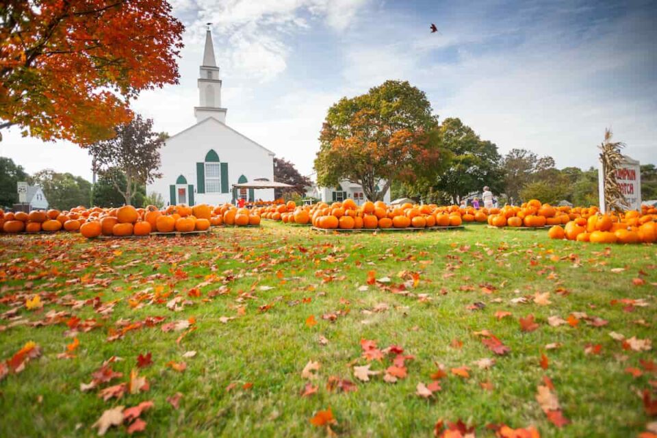 The 12 Best Pumpkin Patches in Massachusetts - Minneopa Orchards