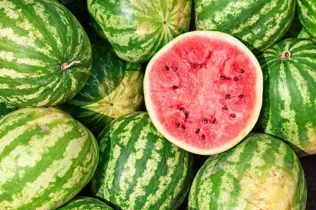 When is Watermelon Ripe? 7 Easy Ways to Tell - Minneopa Orchards