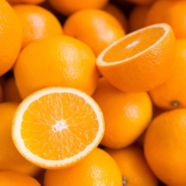 The Complete Guide to Orange Tree Pollination - Minneopa Orchards