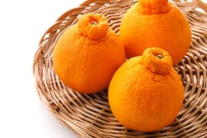 All About the Shiranui Mandarin - Minneopa Orchards