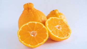 All About the Shiranui Mandarin - Minneopa Orchards