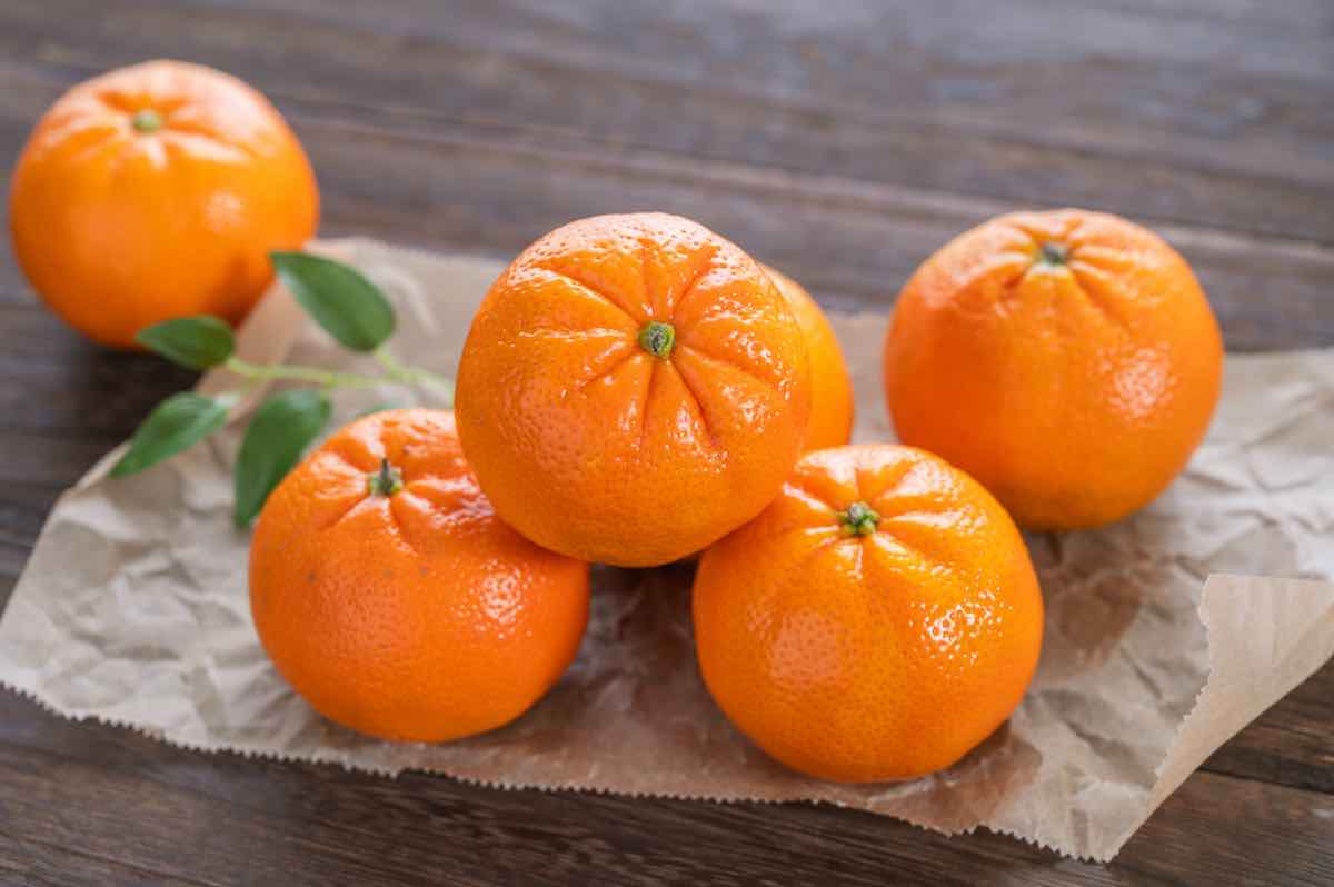 The Tango Mandarin: 7 Things You Need to Know - Minneopa Orchards