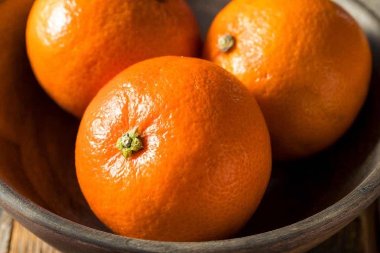 The Tango Mandarin: 7 Things You Need to Know - Minneopa Orchards