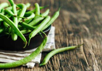 6 Important Facts About Blue Lake Bush Beans - Minneopa Orchards