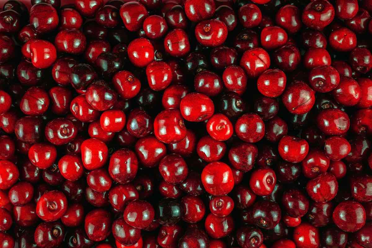 4 Best Tips For How to Harvest Cherries - Minneopa Orchards