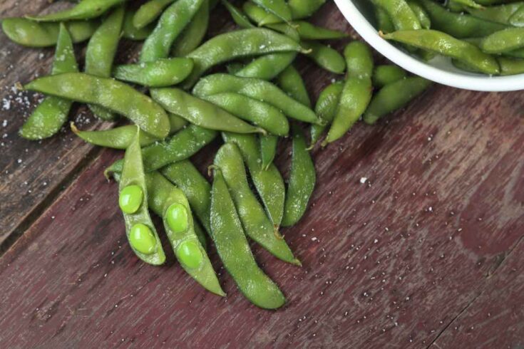 3 Useful Facts About Edamame Beans - Minneopa Orchards