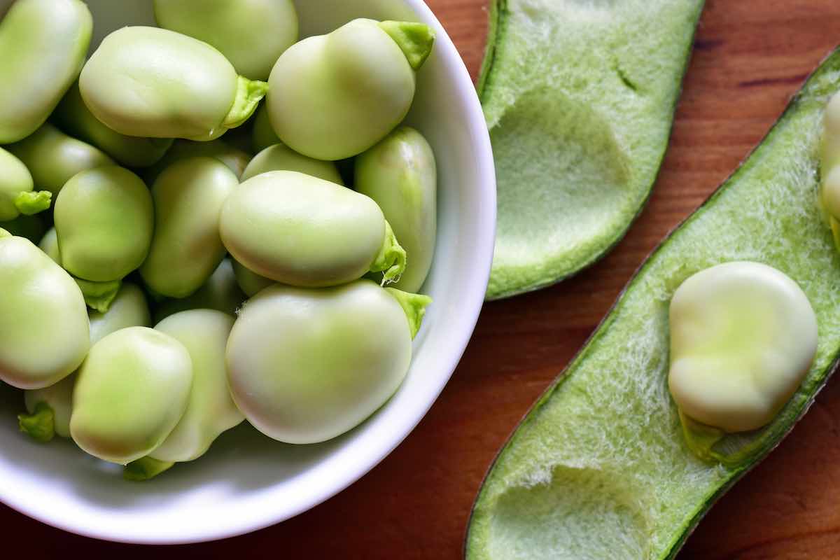 Bean Plant - Minneopa Orchards