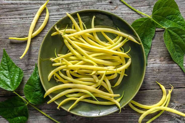 All About Yellow Wax Beans - Minneopa Orchards