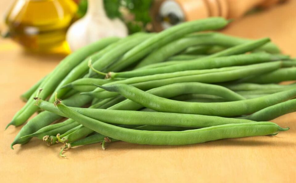 All About Jade Bush Beans - Minneopa Orchards