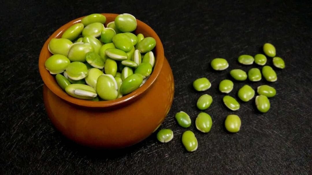 All About White Lima Beans - Minneopa Orchards