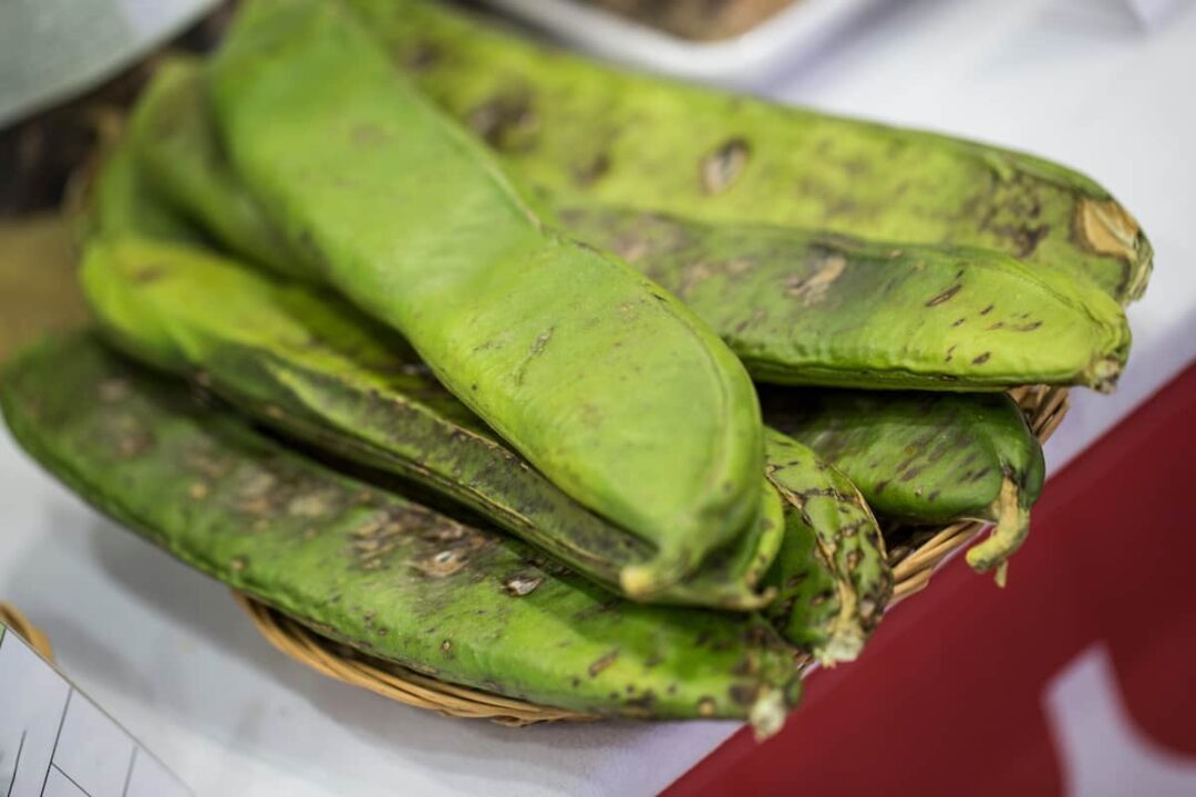 All About Sword Beans - Minneopa Orchards