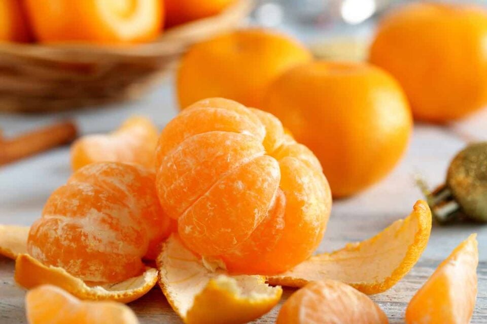7 Important Facts About the California Honey Mandarin - Minneopa Orchards