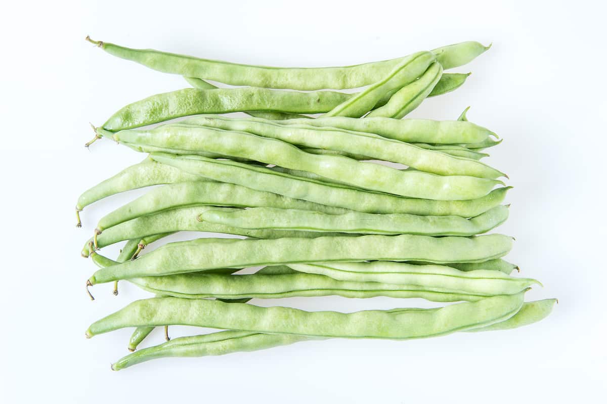 Kentucky Blue Pole Beans - Minneopa Orchards
