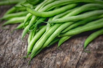 7 Kinds of Green Beans to Know About - Minneopa Orchards