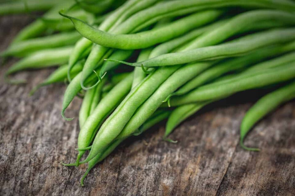 7 Kinds of Green Beans to Know About - Minneopa Orchards