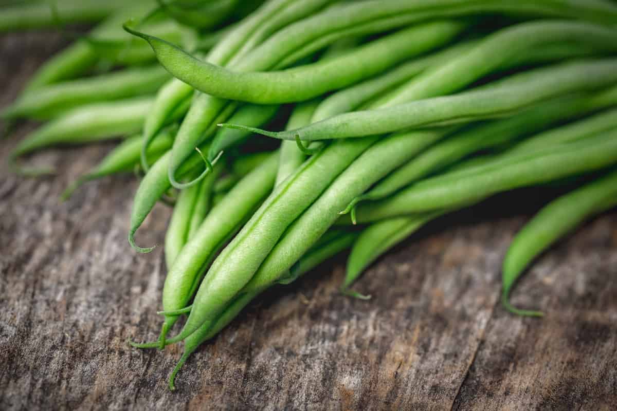 Kentucky Blue Pole Beans Minneopa Orchards