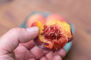 How to Plant a Peach Seed That Actually Grows - Minneopa Orchards