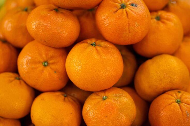 The Pixie Mandarin: 6 Important Facts You Need to Know - Minneopa Orchards