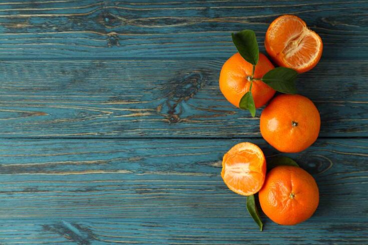 The Pixie Mandarin: 6 Important Facts You Need to Know - Minneopa Orchards